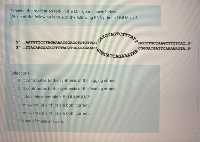 Solved Examine the replication fork in the LCT gene shown | Chegg.com