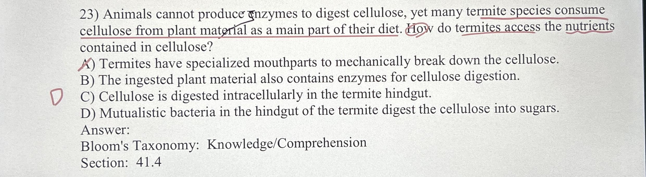 Solved Animals cannot produce gnzymes to digest cellulose, | Chegg.com