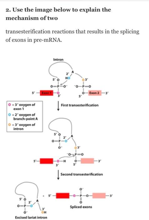 Solved 2. Use the image below to explain the mechanism of | Chegg.com