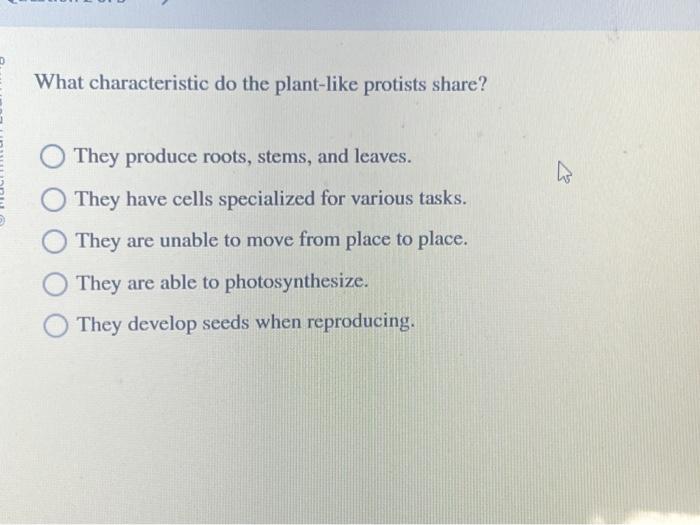 Solved What characteristic do the plant-like protists share? | Chegg.com