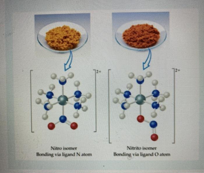 Solved Nitro isomer Bonding via ligand N atom Nitrito scimer | Chegg.com
