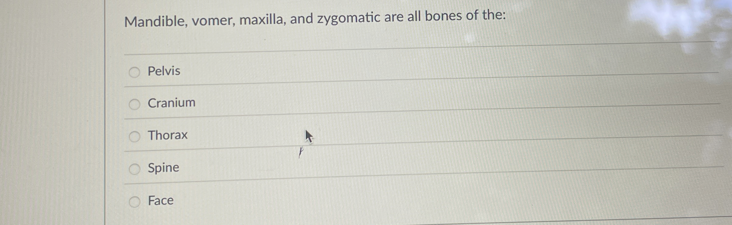 Solved Mandible, vomer, maxilla, and zygomatic are all bones | Chegg.com