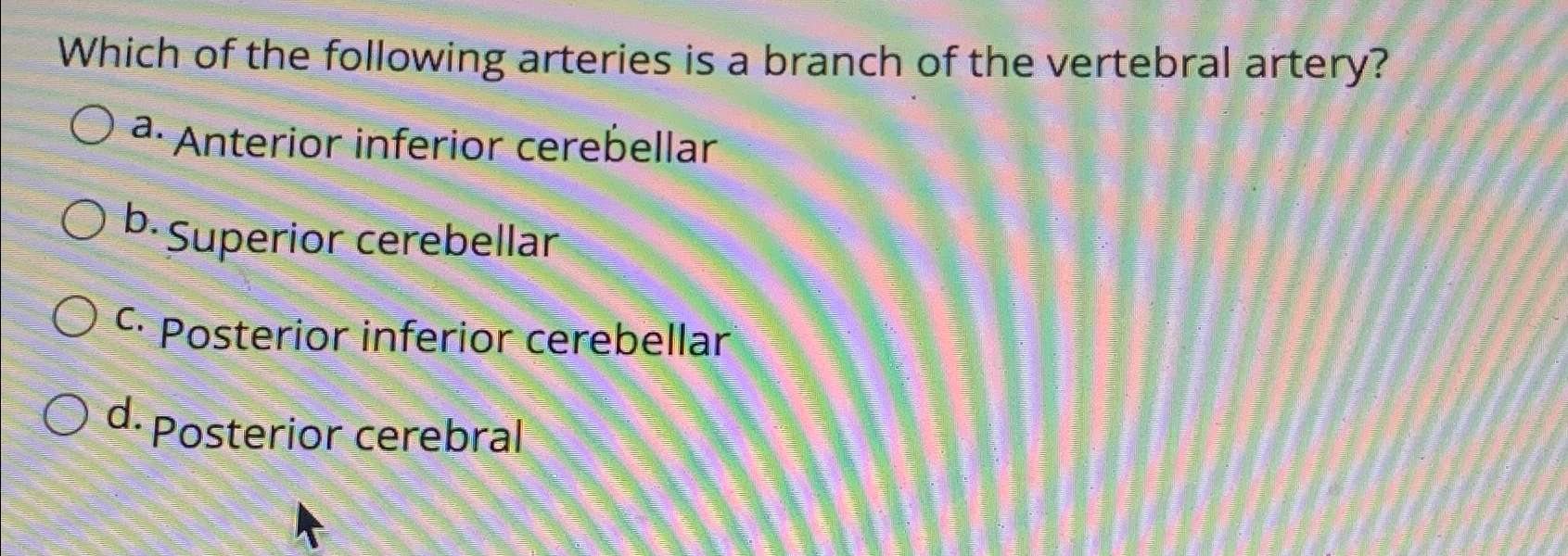 Solved Which of the following arteries is a branch of the | Chegg.com