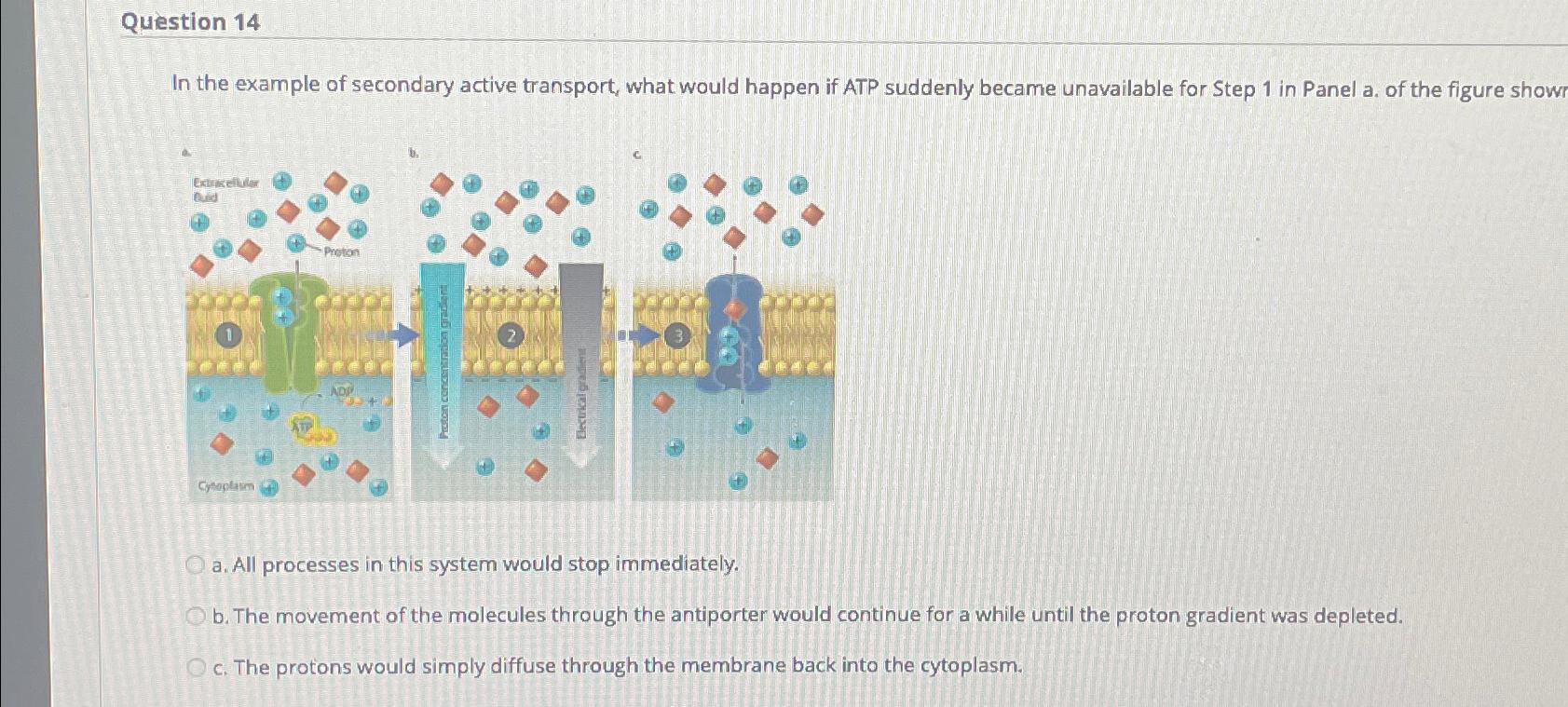 Solved Question 14In the example of secondary active | Chegg.com