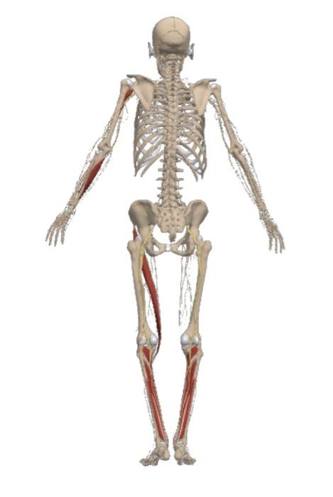 Solved Please download the images below and complete the | Chegg.com