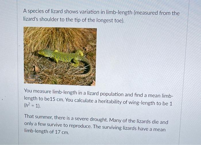 Solved A species of lizard shows variation in limb-length | Chegg.com