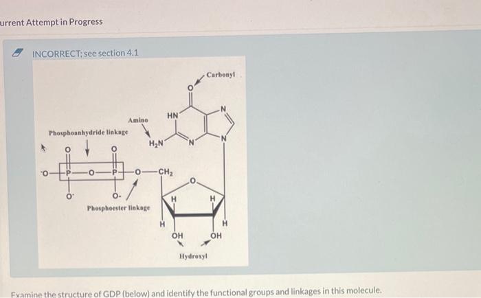 Solved urrent Attempt in Progress - INCORRFCT see section | Chegg.com