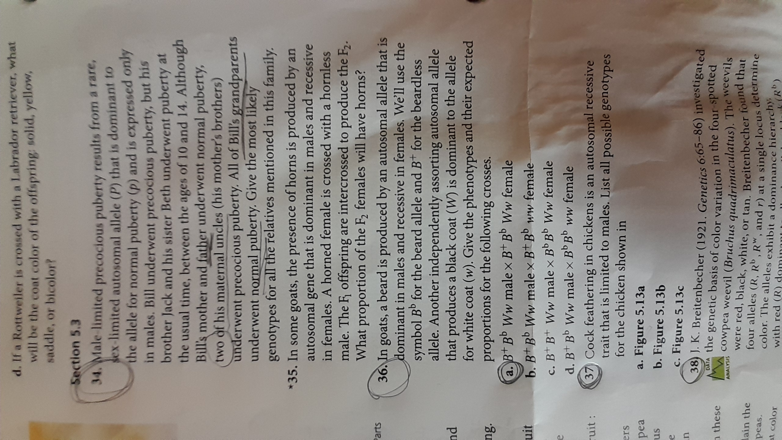 Solved Number 36 ﻿please. I could not adjust the frame, | Chegg.com