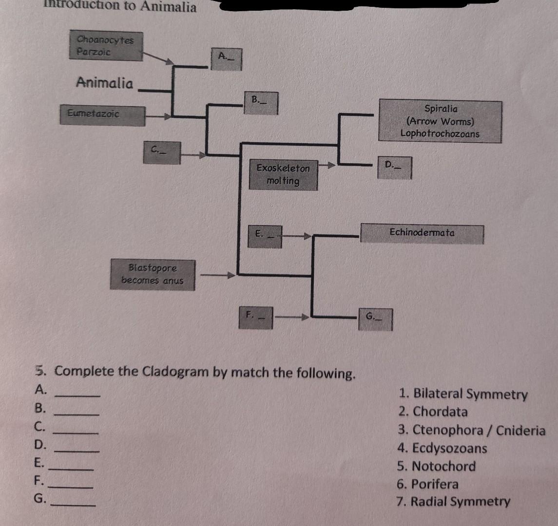 Solved 5. Complete the Cladogram by match the following. A. | Chegg.com