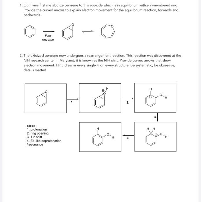Solved 1. Our livers first metabolize benzene to this | Chegg.com