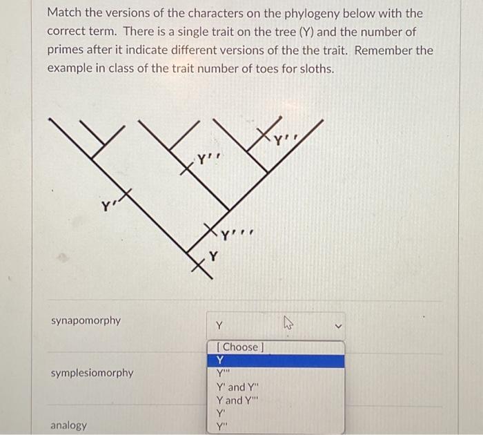 Solved Match the versions of the characters on the phylogeny | Chegg.com