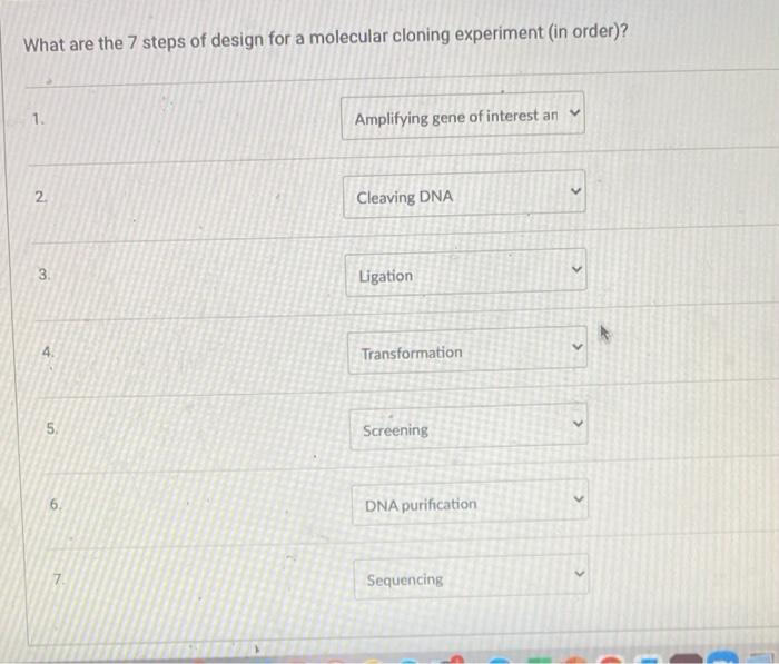 Solved What are the 7 steps of design for a molecular | Chegg.com