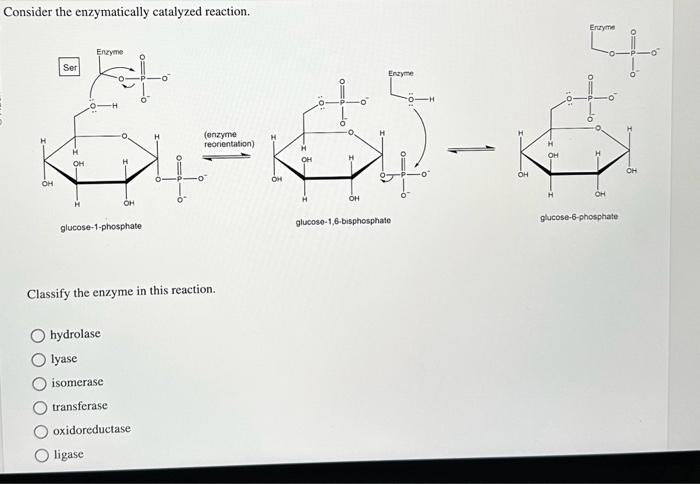 Solved Consider the enzymatically catalyzed reaction. | Chegg.com