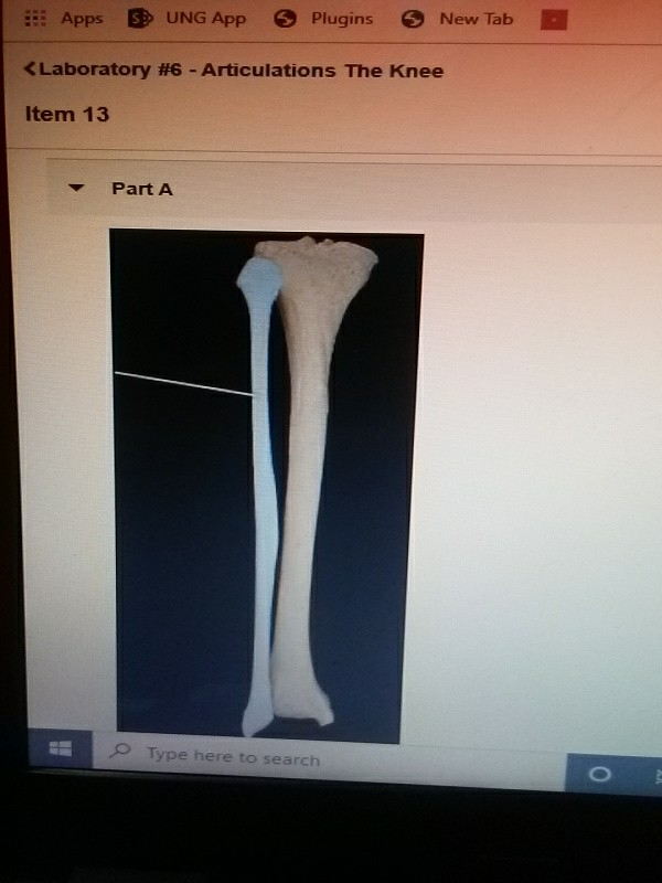 Solved Apps UNG App s Plugins 5 New Tab | Chegg.com