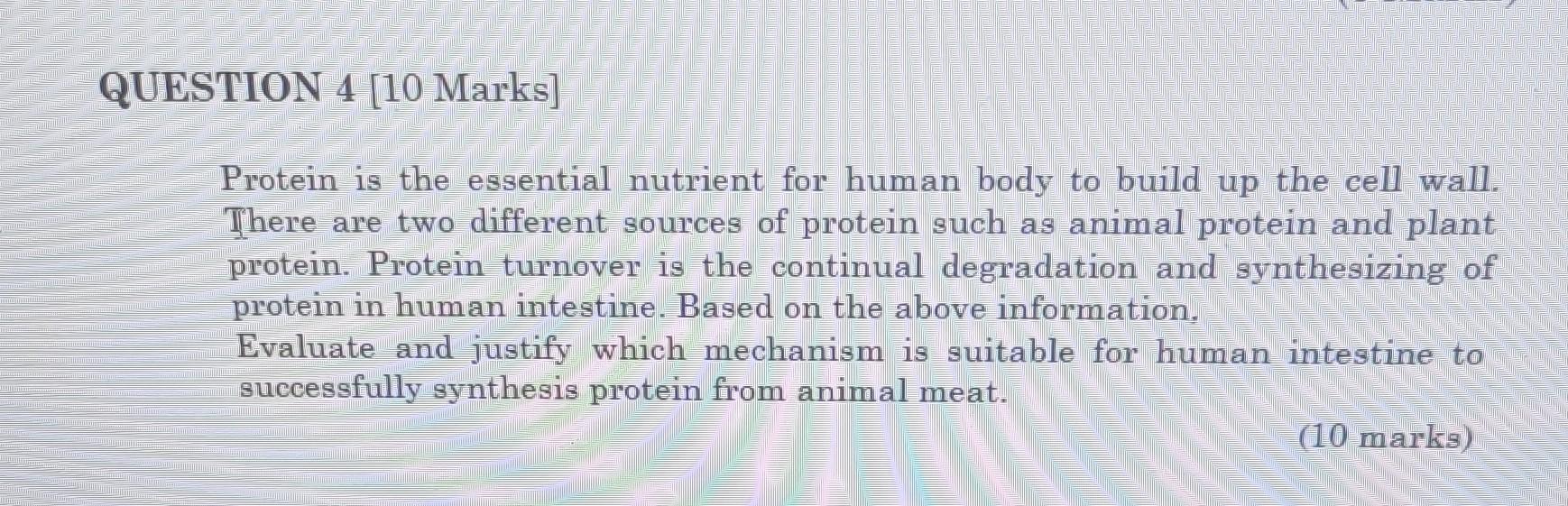 Solved Protein is the essential nutrient for human body to | Chegg.com