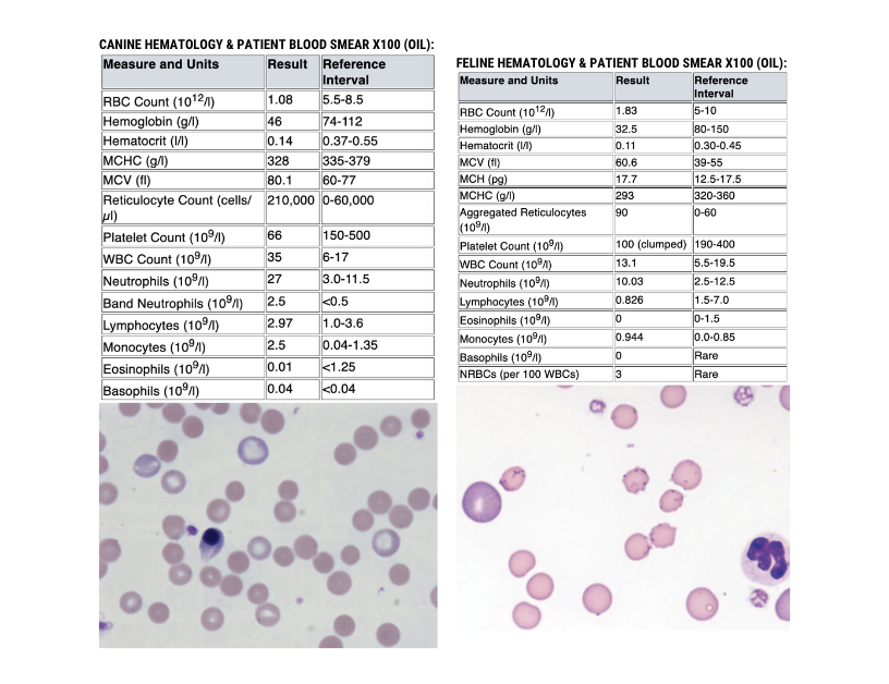 Solved Compare and contrast the diagnostic results provided | Chegg.com