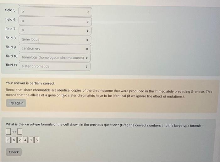 Solved The NEXT FOUR QUESTIONS refer to this figure: Assume | Chegg.com