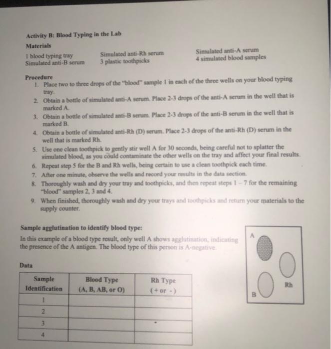 Solved Activity B: Blood Typing in the Lab Materials 1 blood | Chegg.com