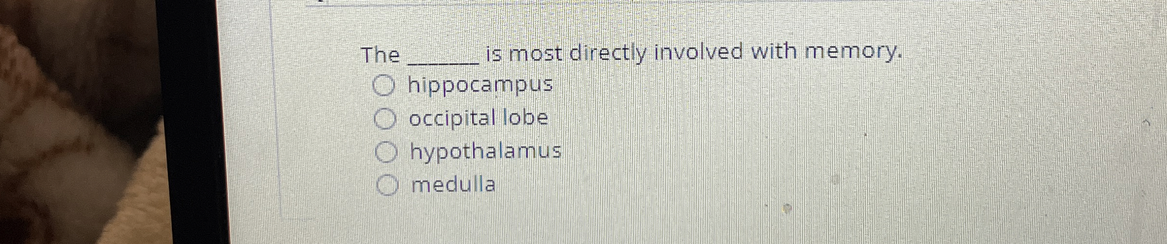 Solved Theis most directly involved with | Chegg.com