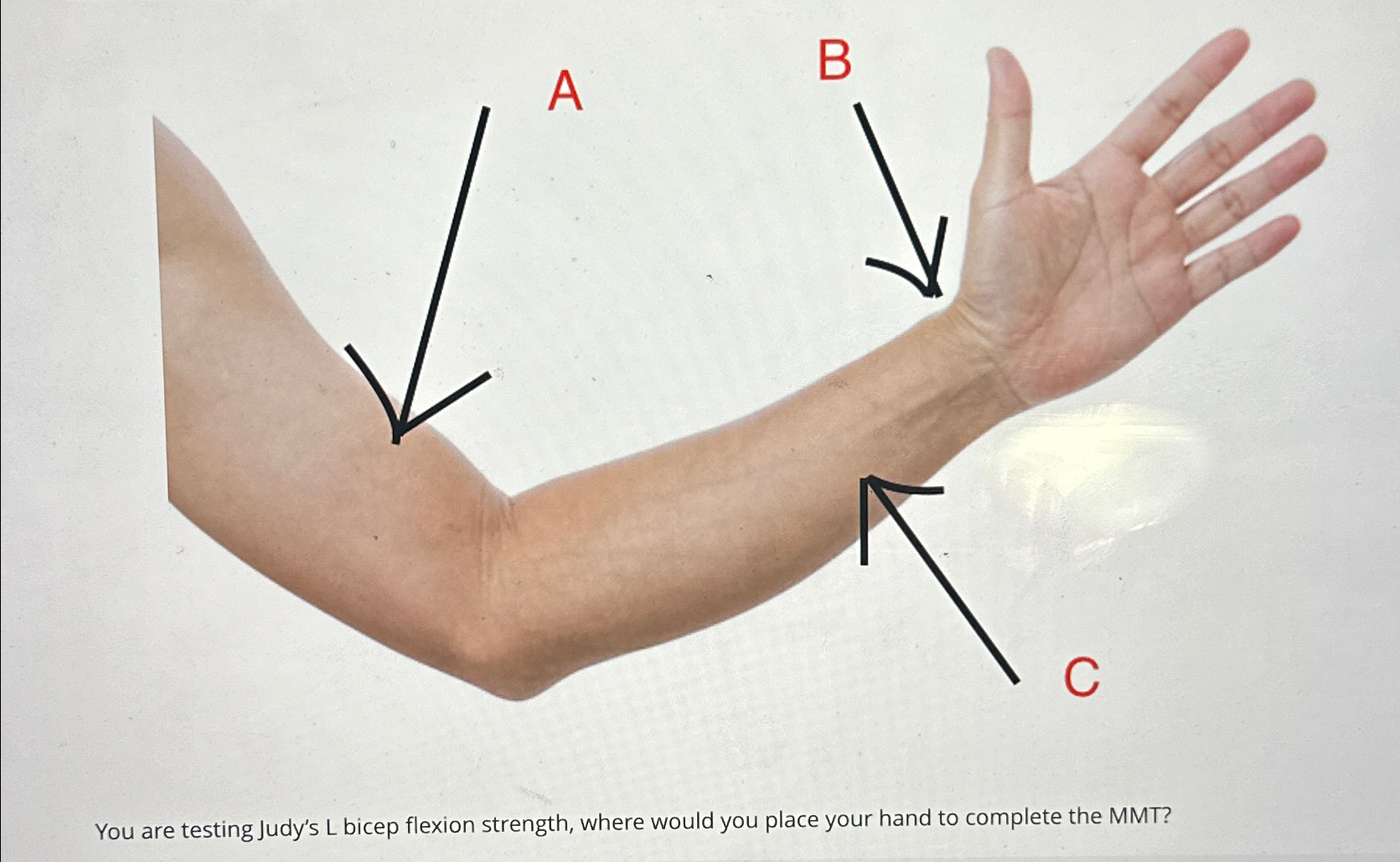Solved You are testing Judy's L bicep flexion strength, | Chegg.com