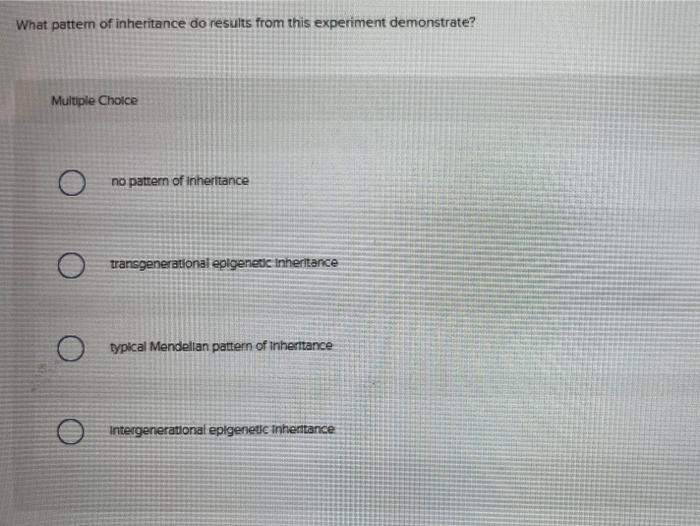 Solved What pattern of inheritance do results from this | Chegg.com