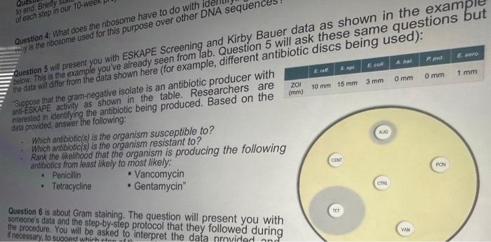 Solved Question 4: What does the ribosome have to do with | Chegg.com