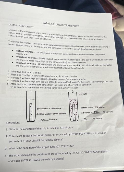 Solved LAB 6. CELLULAR TRANSPORT OSMOSIS ANO TONICITY | Chegg.com