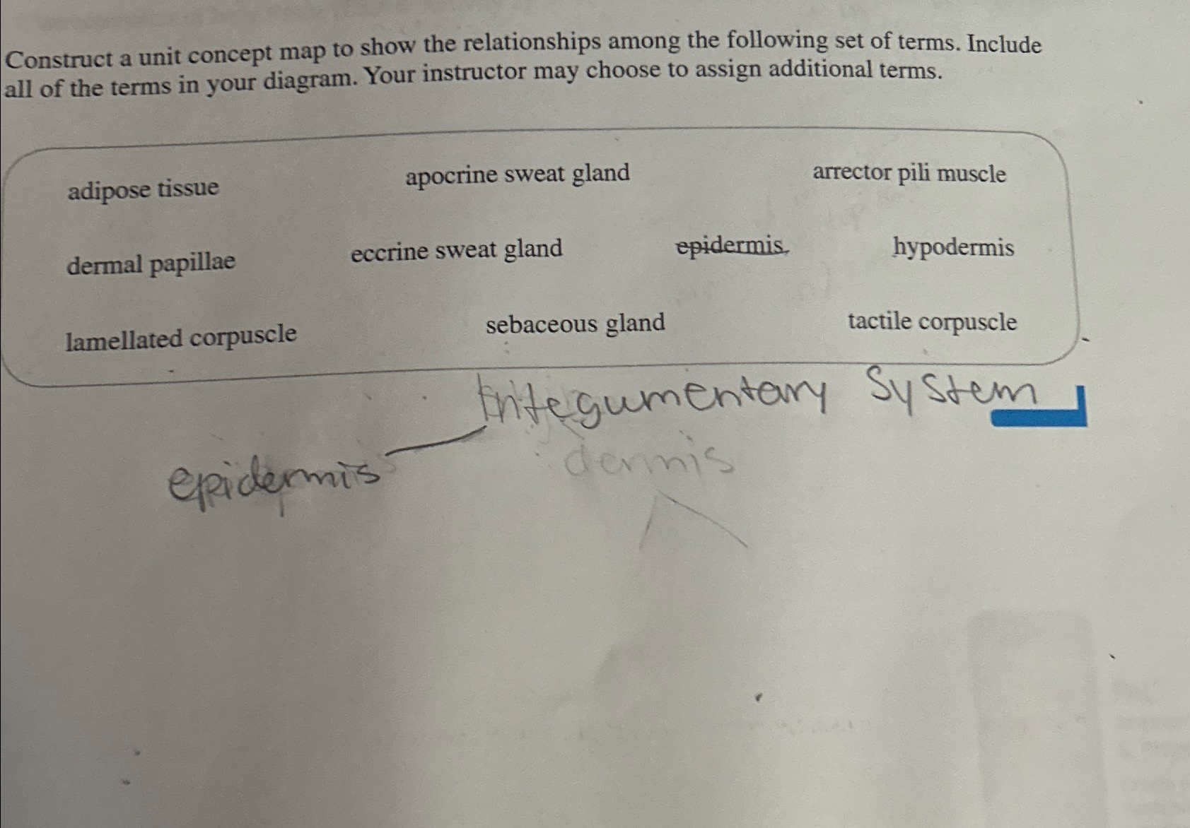 Solved Construct a unit concept map to show the | Chegg.com
