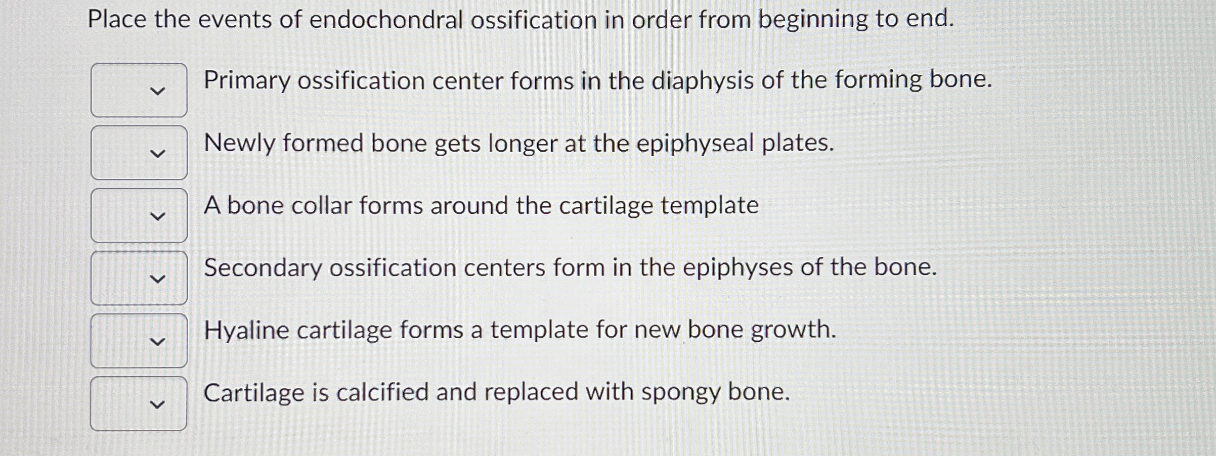 Solved Place the events of endochondral ossification in | Chegg.com
