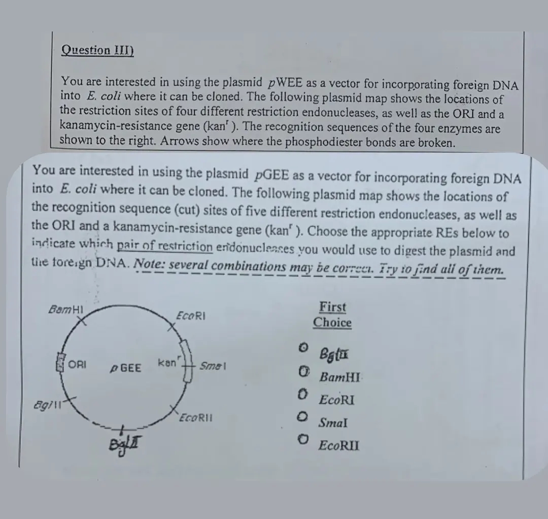 Solved Question III)You are interested in using the plasmid | Chegg.com
