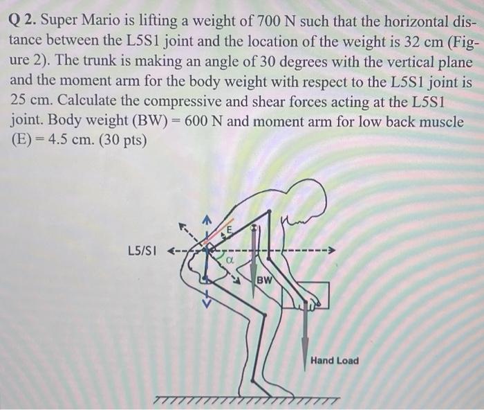 Solved Q2. Super Mario is lifting a weight of 700 N such | Chegg.com