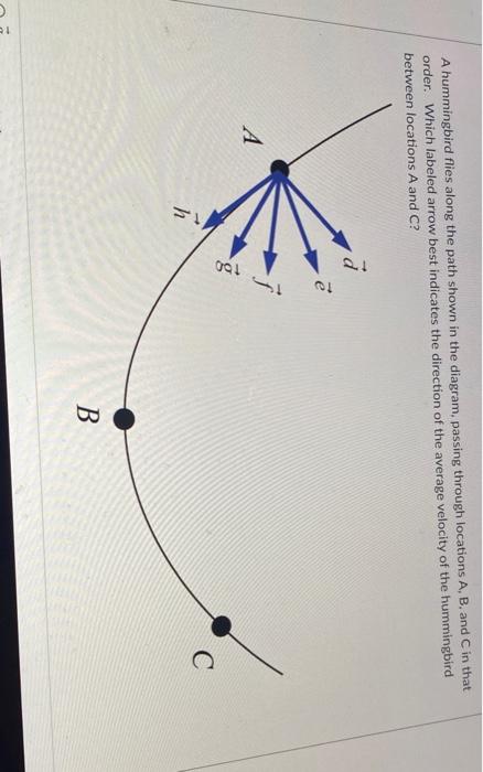 Solved A hummingbird flies along the path shown in the | Chegg.com