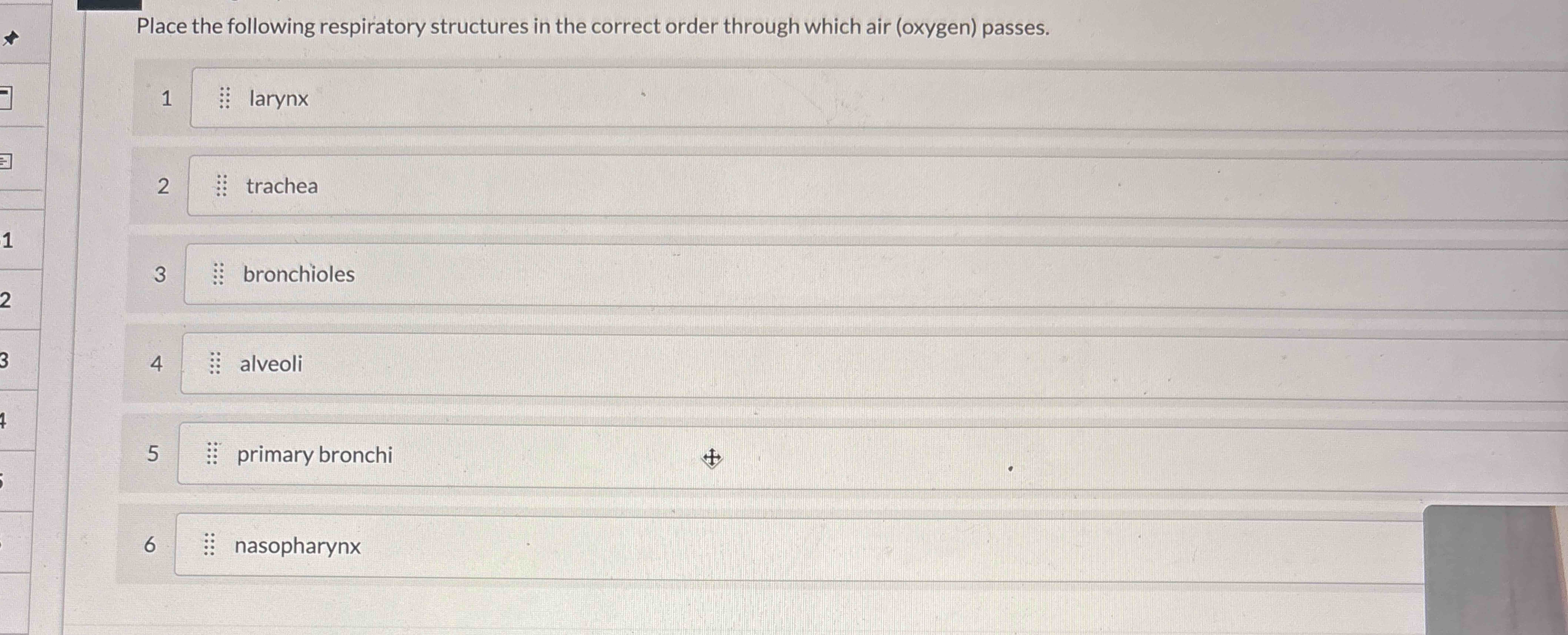 Solved Place the following respiratory structures in the | Chegg.com