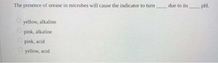 Solved The presence of urease in microbes will cause the | Chegg.com