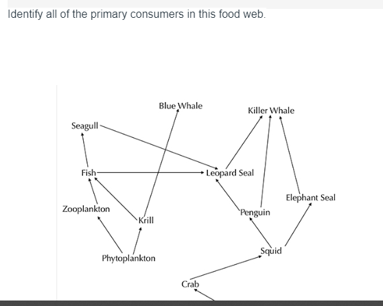 Solved Identify all of the primary consumers in this food | Chegg.com