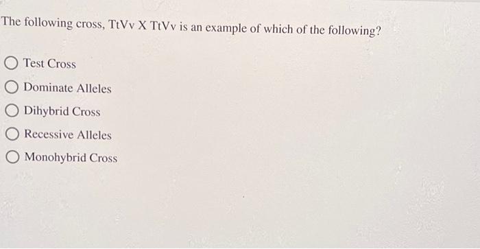 Solved The following cross, TtVv X TtVv is an example of | Chegg.com