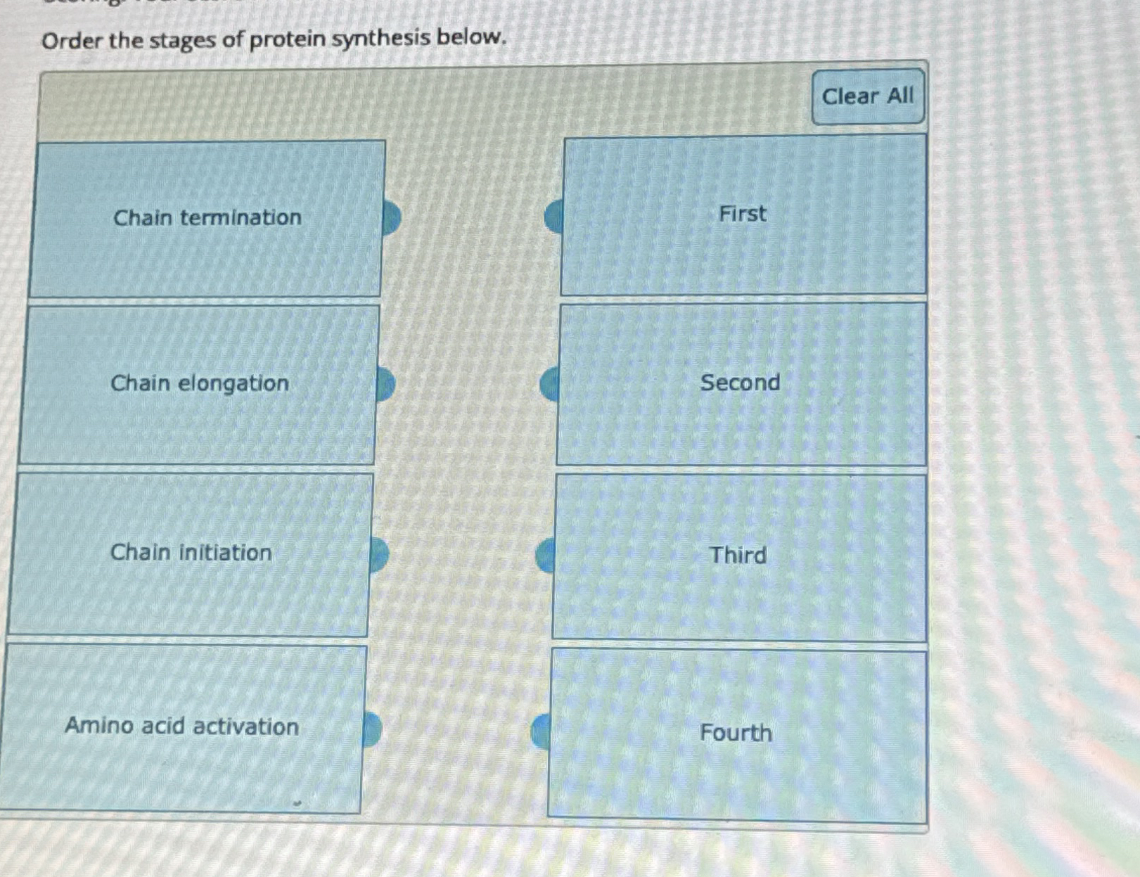 Solved Order the stages of protein synthesis below.Clear | Chegg.com
