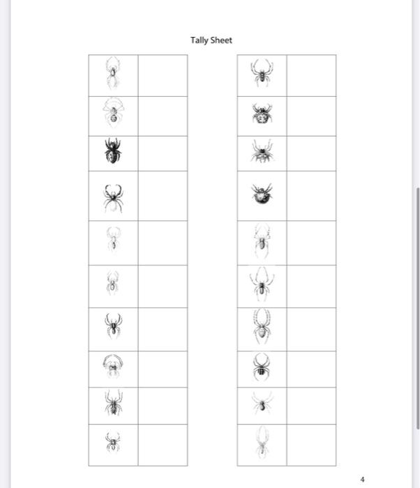 Solved Worksheet 1: Measuring spider diversity On the tally | Chegg.com