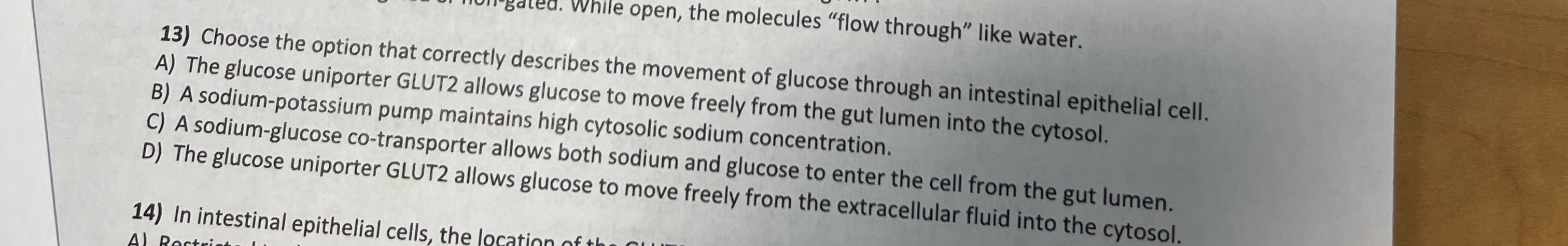 Solved A) ﻿The glucose uniporter GLUT2 ﻿allo describes the | Chegg.com