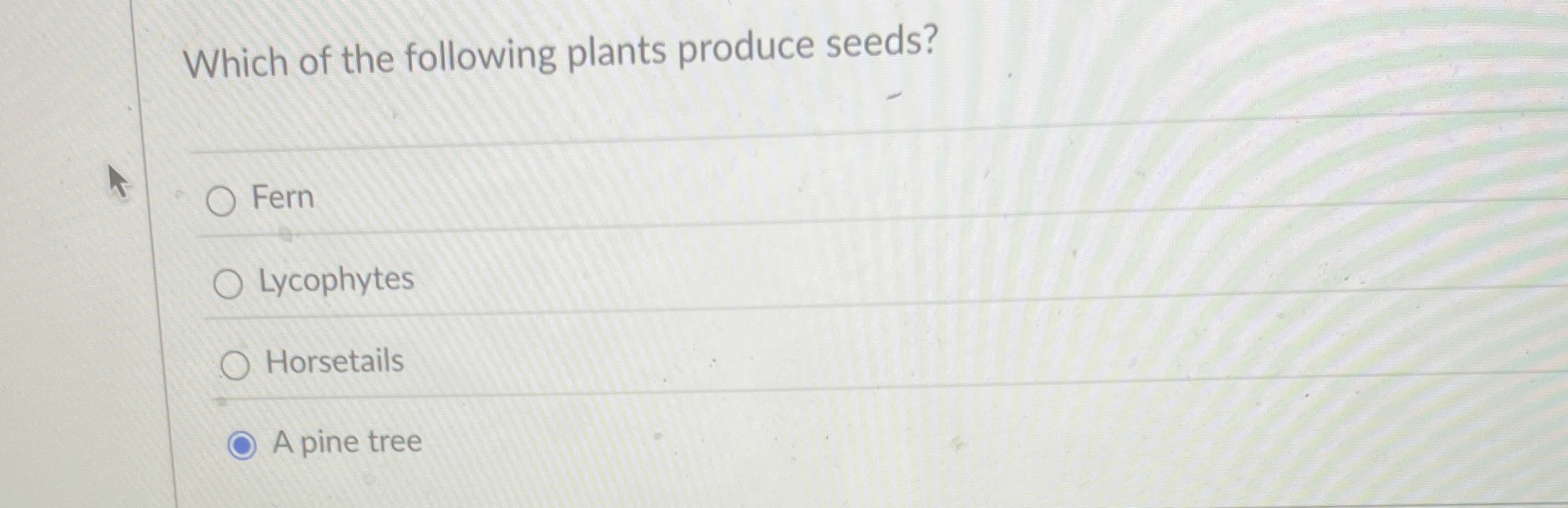 Solved Which of the following plants produce | Chegg.com