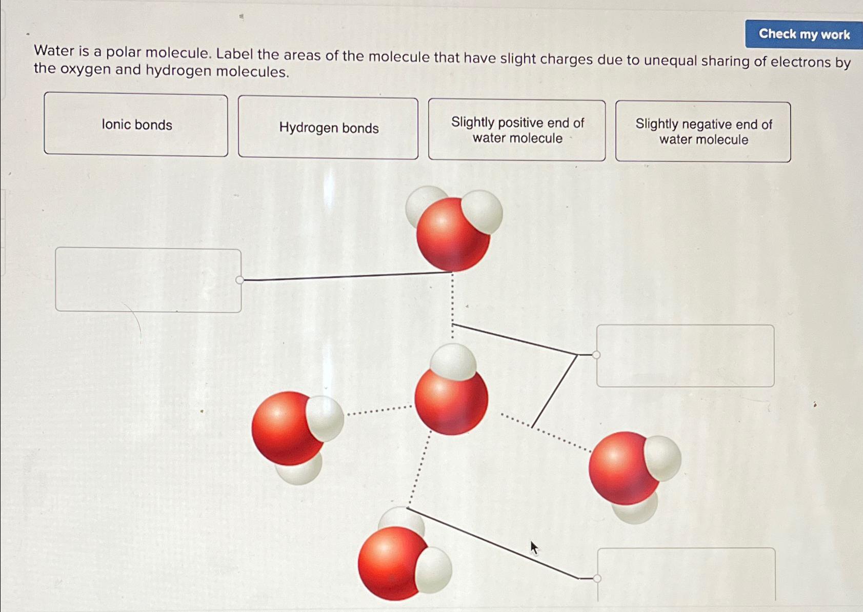 Solved Water is a polar molecule. Label the areas of the | Chegg.com