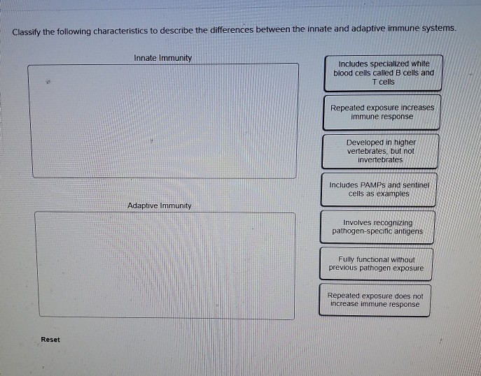 Solved Classify the following characteristics to describe | Chegg.com