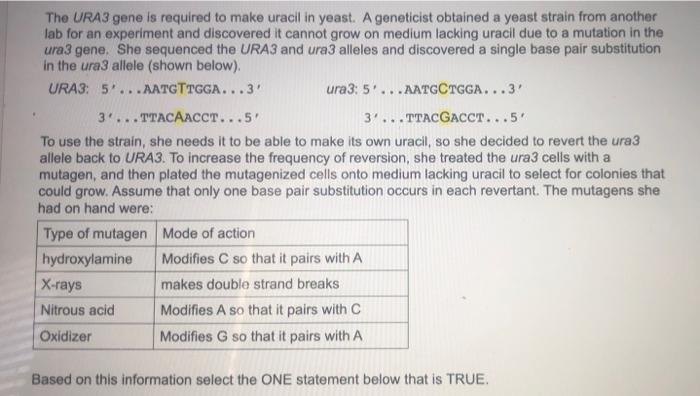 Solved The URA3 gene is required to make uracil in yeast. A | Chegg.com