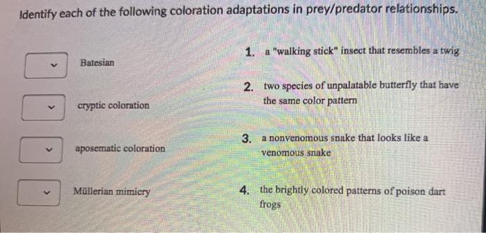 Solved Identify each of the following coloration adaptations | Chegg.com