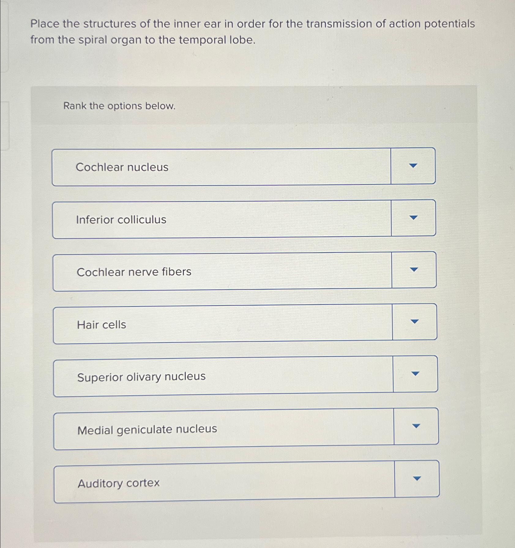 Solved Place the structures of the inner ear in order for | Chegg.com