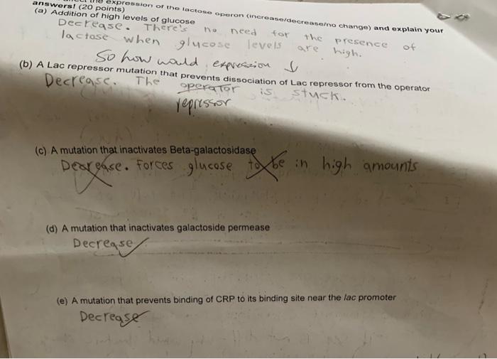Solved E. coli cells are placed un a growth medium | Chegg.com
