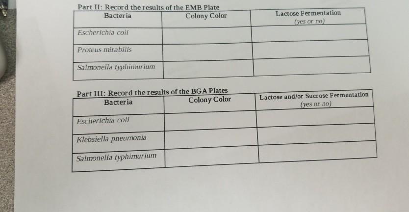 Solved Part II: Record the results of the EMB Plate Bacteria | Chegg.com