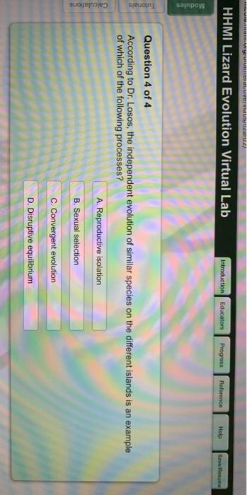 Solved RULLUSZTUS HHMI Lizard Evolution Virtual Lab | Chegg.com