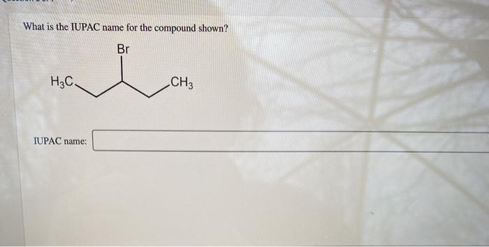 Solved What is the IUPAC name for the compound shown? Br | Chegg.com