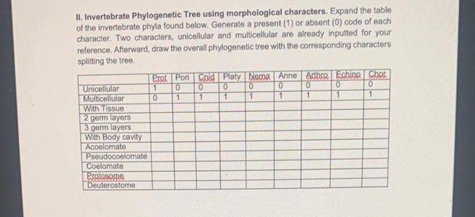 Solved II. Invertebrate Phylogenetic Tree using | Chegg.com